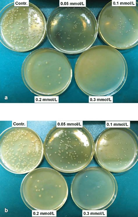 Types Of Microbiology Agar Plates At Makayla Sleath Blog