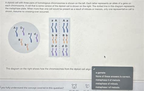 Solved A Diploid Cell With Three Pairs Of Homologous