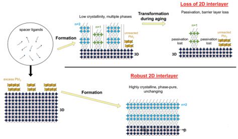 Novel 2d Interlayer Enhances Stability Of Perovskite Solar Cells