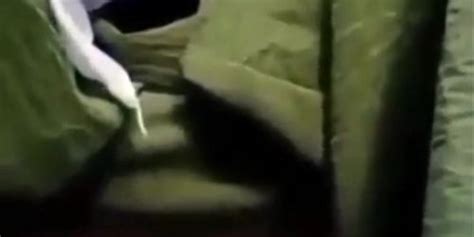 Bocil Smp Udah Ga Tahan Lagi Colmek Di Hutan