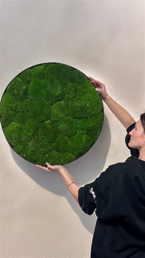 𝐌𝐨𝐬𝐬 • СТАБІЛІЗОВАНИЙ МОХ РОСЛИНИ • Картини із моху On Instagram 🪴Додамо природу у ваш