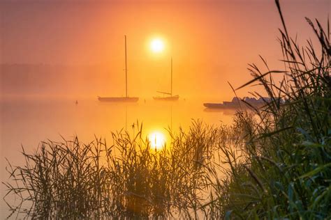 가벼운 갈대 경치 경치가 좋은 고요한 고요함 골든 아워 목가적인 물 박무 반사 반사 수영장 보트 보트 돛대 부드러운 빛 부드러운 색 새벽