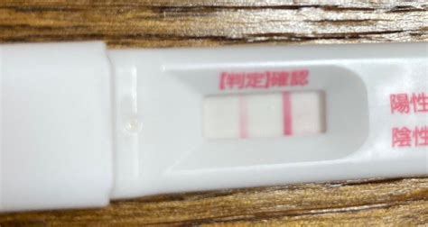 D31 高温期14日目 4w0d フライング検査薄くなる 2023ブログ