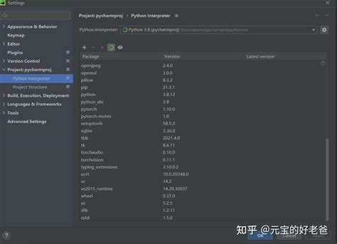 Conda Pytorch Pycharm
