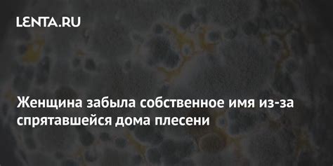 Женщина забыла собственное имя из за спрятавшейся дома плесени Окружающее пространство Забота