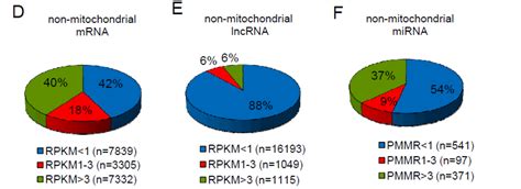 转录组测序mrna Mirna Lncrna分析心力衰竭研究文献分享 搜狐大视野 搜狐新闻
