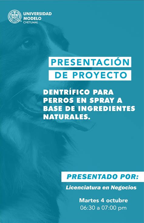 presentación de los resultados de la investigación cualitativa de mercados del proyecto