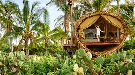 The Tree House Resort In Jaipur India Luxury Resort Jaipur