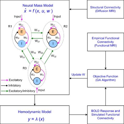 A Multiscale Neural Model Inversion Mnmi Framework To Estimate Both Download Scientific