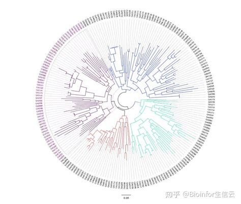 重测序分析（9）群体进化分析之构建进化树 知乎