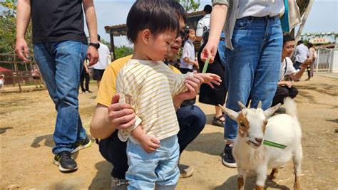 端午連假半價玩埔心牧場！加贈暢玩水氣墊樂園 再抽泰國機加酒雙人遊 │ 旅遊頻道 │ 三立新聞網 Setncom