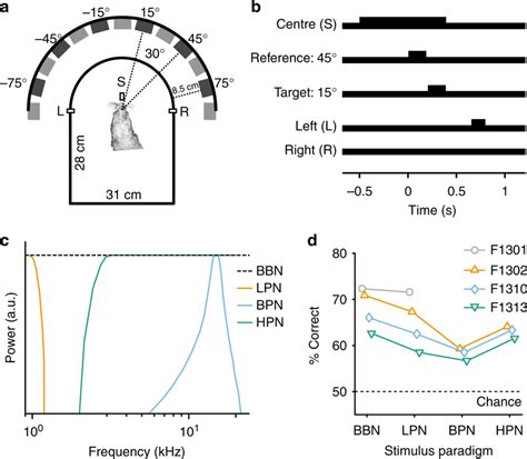 Relative Localisation Behaviour And Performance A Ferrets Were Trained Download Scientific