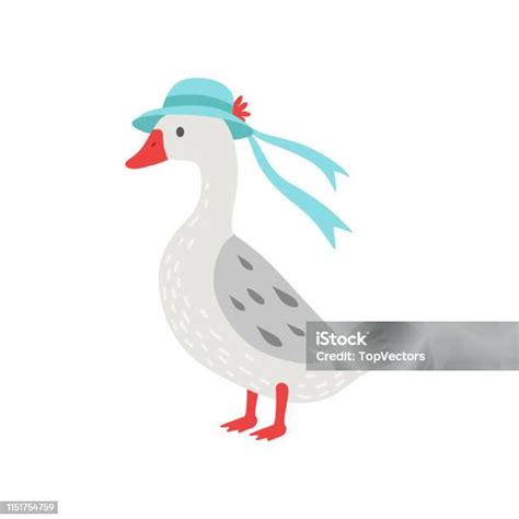 리본 벡터 일러스트와 함께 우아한 모자를 입고 아름 다운 흰색 거 위 만화 캐릭터 거위 새에 대한 스톡 벡터 아트 및 기타 이미지 거위 새 날씨 농업 Istock