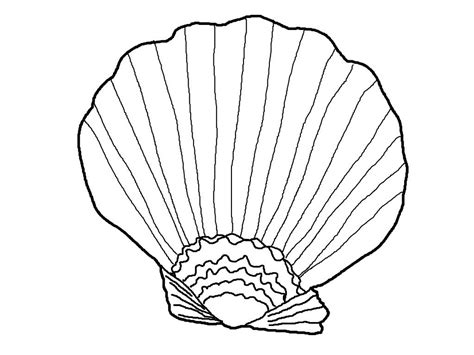 Seashell Coloring Sheets Free