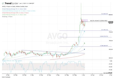 Does Broadcom Stock Still Have Upside After Wild Price Action Chinook Observer