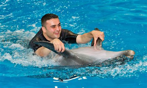 جولة تعليمية عن الدلافين Dubai Dolphinarium Official Site