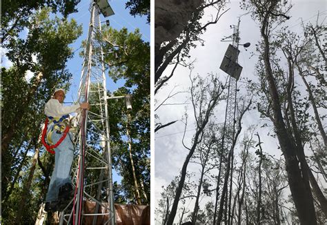 Disturbance Interactions Define Coastal Gradients Lter