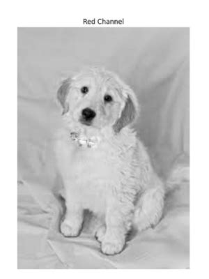 Image Processing With OpenCV Helpful Techniques