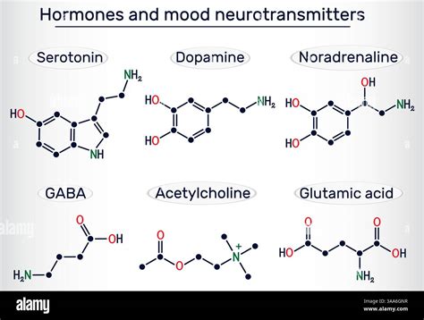 Hormones And Mood Neurotransmitters Serotonin Dopamine Noradrenaline