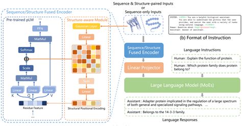 논문 리뷰 Structure Enhanced Protein Instruction Tuning Towards General Purpose Protein Understanding