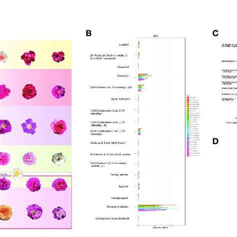 cluster analysis of morphological characters and histogram of target