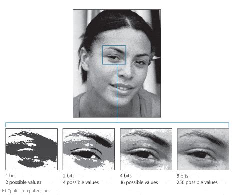 Bit Depth ZevenDesign