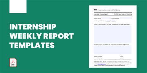 11 Internship Weekly Report Templates In Pdf Doc