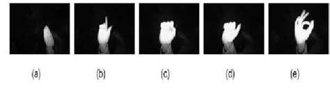 Figure 2 From A Low Cost Raspberry Pi Based Control System For Upper Limb Prosthesis Semantic