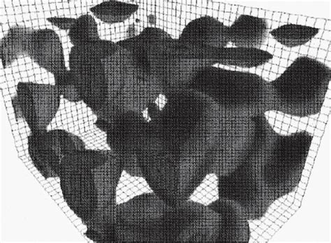A Speaker Node In The Lattice With Different Faceted Concepts