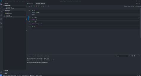 Jupyter Notebook Theme And Look Not Matching On Remote Containers To That On Local Issue