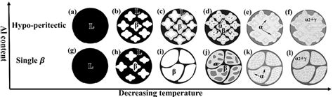 Schematic Of Microstructures Evolution During Hypo Peritectic Download Scientific Diagram