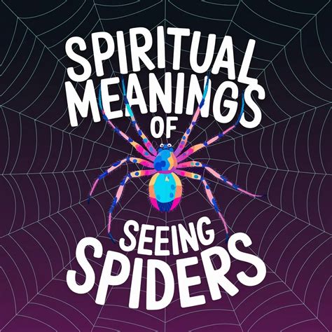 Spiritual Meanings Of Seeing Spiders 12 Ancient Symbolisms