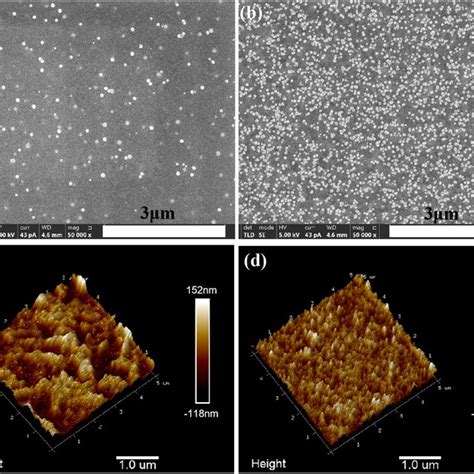 FESEM Images Of TiO2 Grown Under The Temperature Of A 200 C And B Download Scientific Diagram