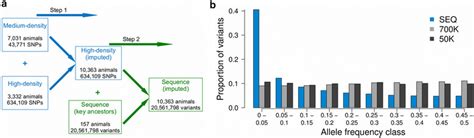 Imputation Of Sequence Variants A Overview Of The Stepwise Imputation