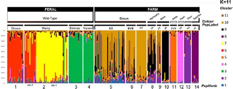 Admixture Analysis Using Structure In Which Individuals Were Assigned Download Scientific