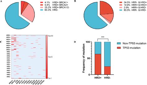 Homologous Recombination Deficiency Hrd Positivity Distribution In