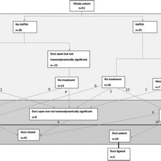 Flow Chart Of Changing PDA Status Over Time Download Scientific Diagram