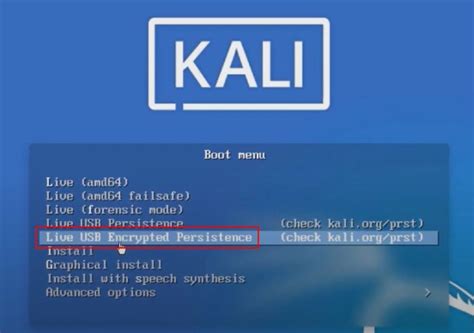 How To Boot Kali Linux From Usb With Persistence On Windows