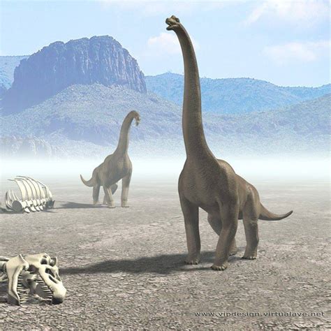 په زړه پوري ویډیو کلیپونه