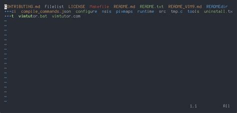 Non Empty Showbreak And Wrap Mess Up The Colors In Terminal Buffers