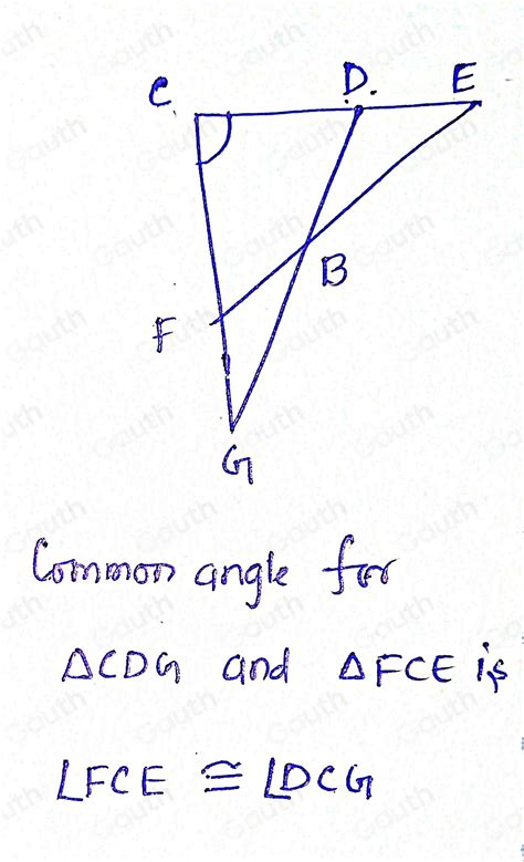 Solved 35 What Common Angle Do Cdg And Fce Share C D E F B G ∠ Fbg≌ ∠ Dbe ∠ Cef≌ ∠ Cgd ∠ Cd