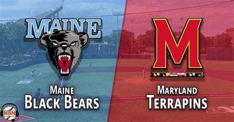 Series Preview Maine Black Bears Maryland Baseball Network