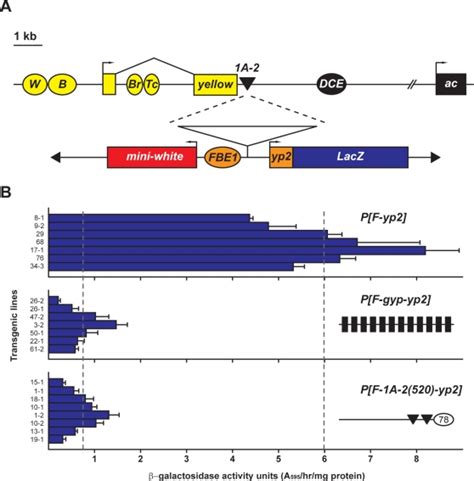 Context Differences Reveal Insulator And Activator Functions Of A Suhw Binding Region