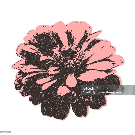 꽃 콜라주 스티커입니다 복사 흑백 효과 국화 잔인한 점선 복고풍 꽃무늬 콜라주 종이 식물 요소 벡터 점묘 자연 달리아 그림 흰색