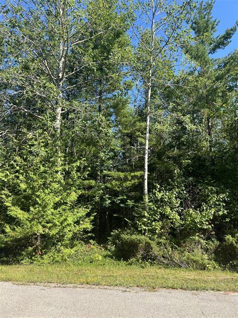 Presque Isle Presque Isle County Mi Undeveloped Land Lakefront Property Waterfront Property