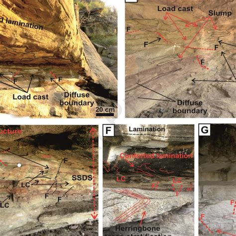 Field Photographs Of The Soft Sediment Deformation Structures Ssds Download Scientific