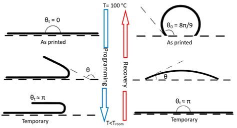 Investigation Of Thermal Mechanical And Shape Memory Properties Of D