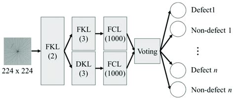 Schematic Of The PE ResNeXt Architecture PE ResNeXt Has An Input Image Download Scientific