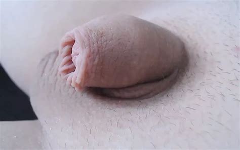 Free Tiny Dick Shemale Porn Videos XHamster