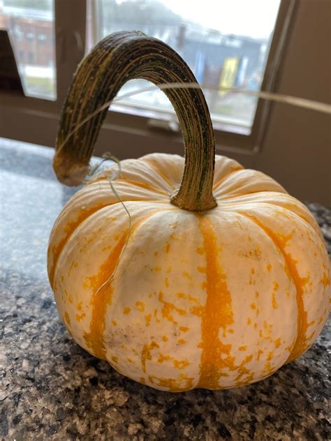 After Completing The Assignment ‘one Subject Twenty Frames” I Have A Learned A Lot About By